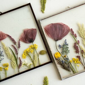 Red Poppies Real Pressed Flower Frame Poppy Meadow Square - Etsy