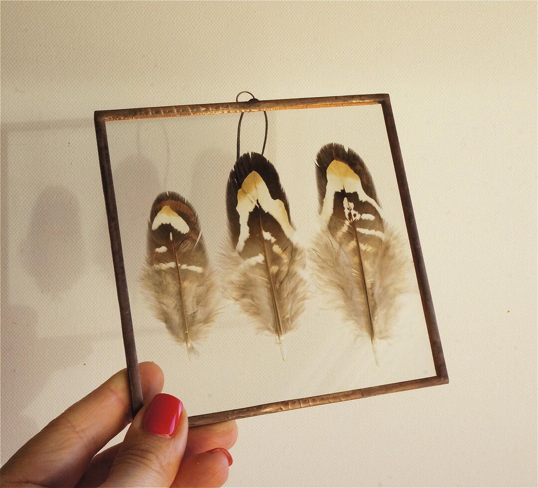 Real Feather Home Decor Bird Feather Glass Frame Pheasant Bird Lover ...