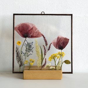 Red Poppies Real Pressed Flower Frame Poppy Meadow Square - Etsy