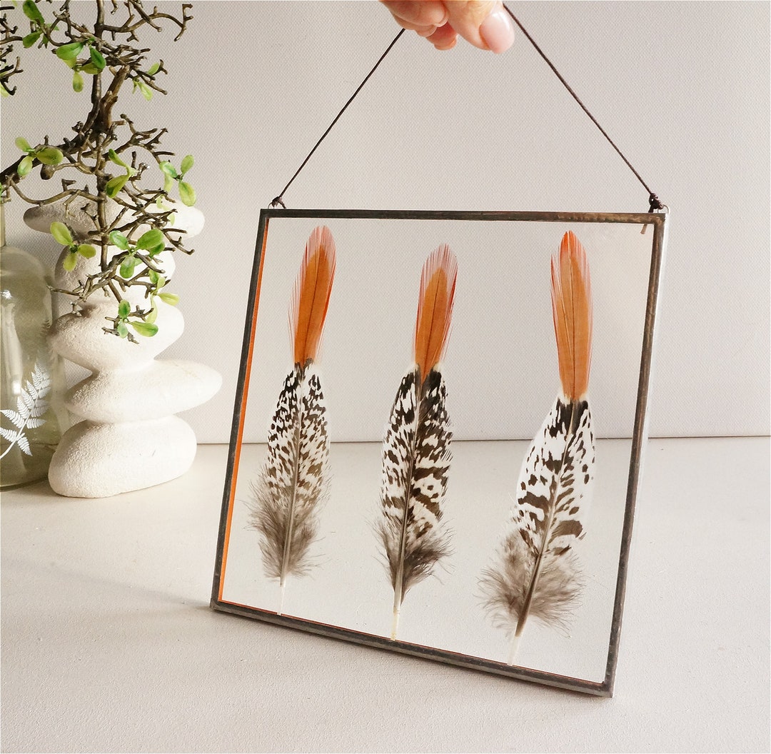 Real Feather Home Decor Orange Pheasant Feather Glass Frame Bird Lover ...