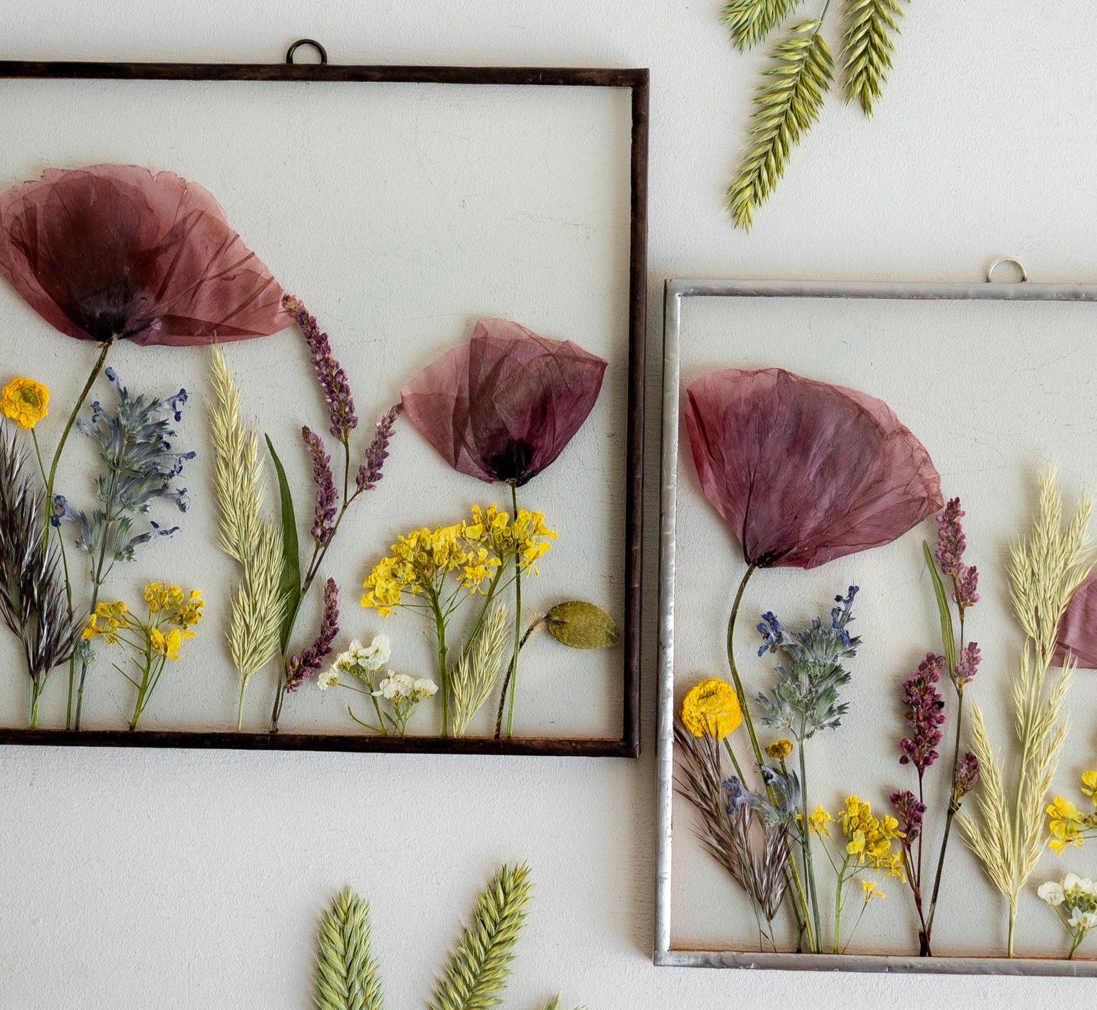 Red Poppies Real Pressed Flower Frame Poppy Meadow Square - Etsy