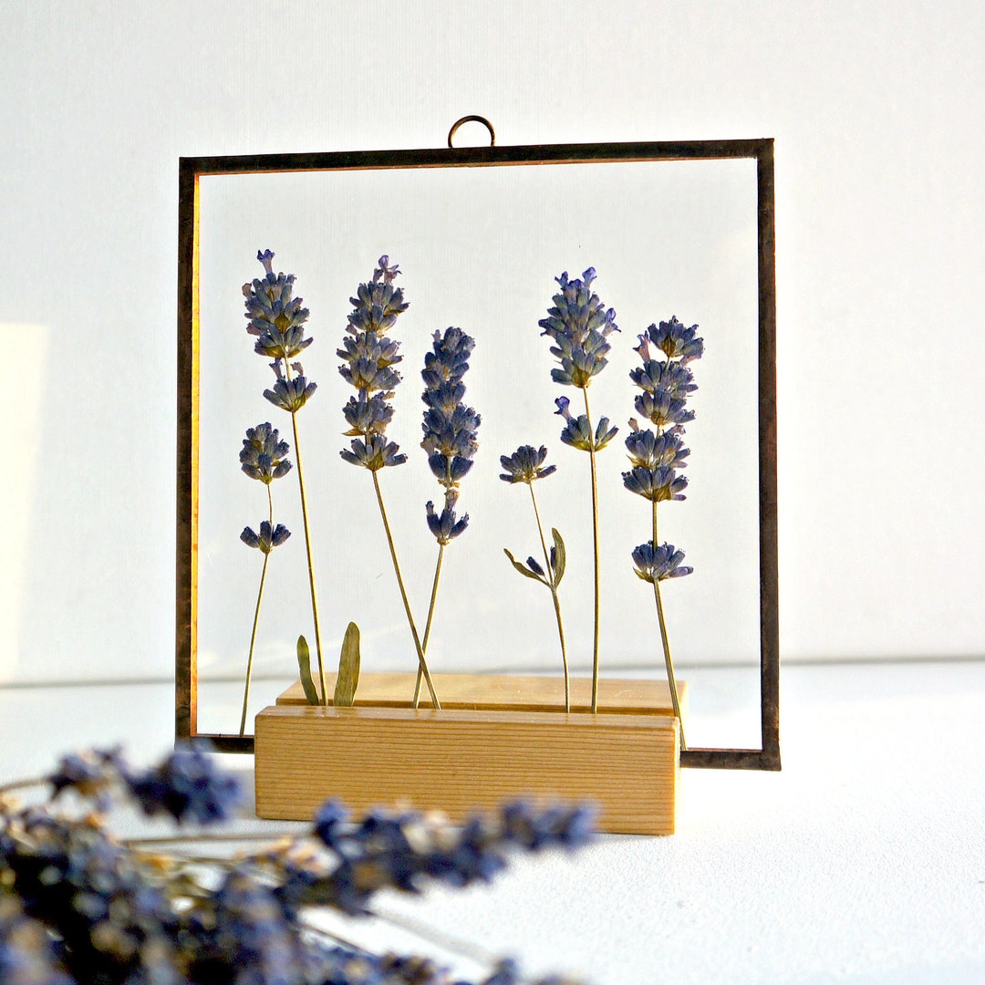 Real Pressed Lavender Flower Frame Purple Lavender Gift Stain Glass ...