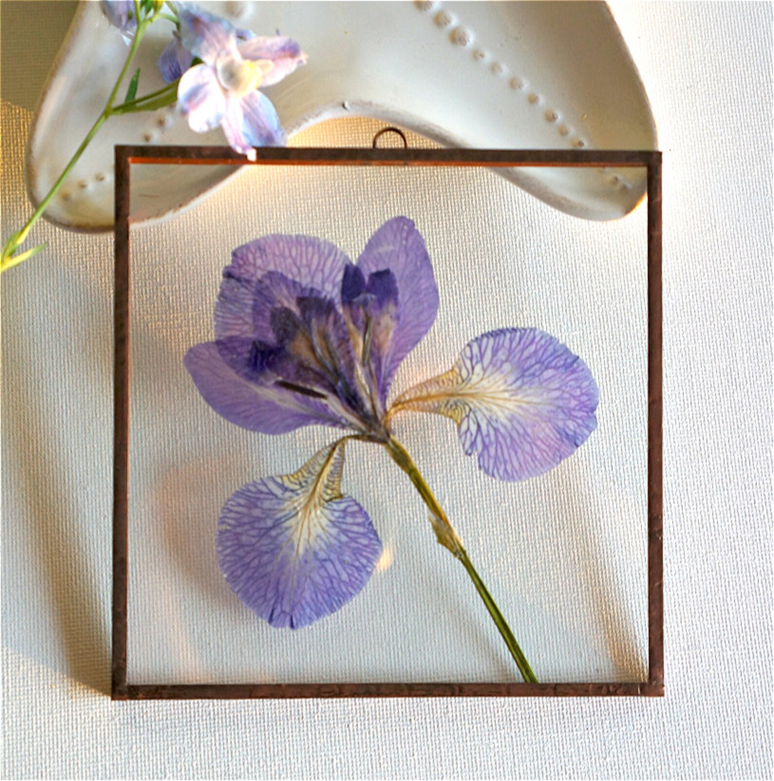 Pressed Flower Frame Purple Iris Dried Flower Art Mothers Day Gift Box ...