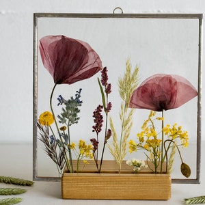 Red Poppies Real Pressed Flower Frame Poppy Meadow Square - Etsy