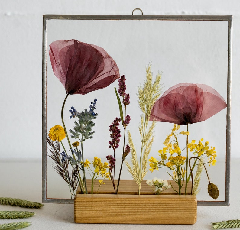 Red Poppies Real Pressed Flower Frame Poppy Meadow Square - Etsy