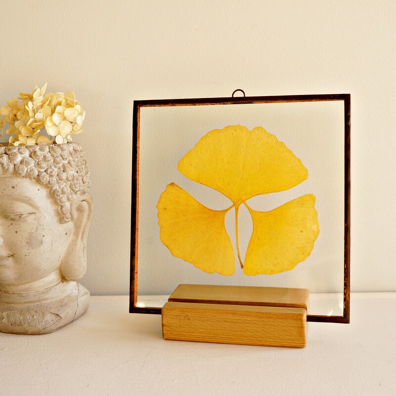 Herbarium Frame - Etsy