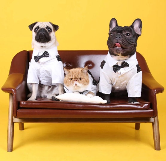 Dog Tuxedo Suit for Christmas – Holiday Pet Outfit With Bow Tie ...