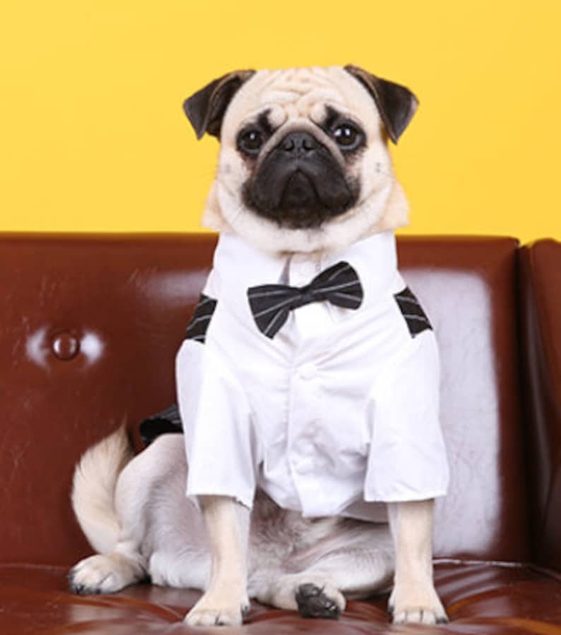 Dog Tuxedo Suit for Christmas – Holiday Pet Outfit With Bow Tie ...