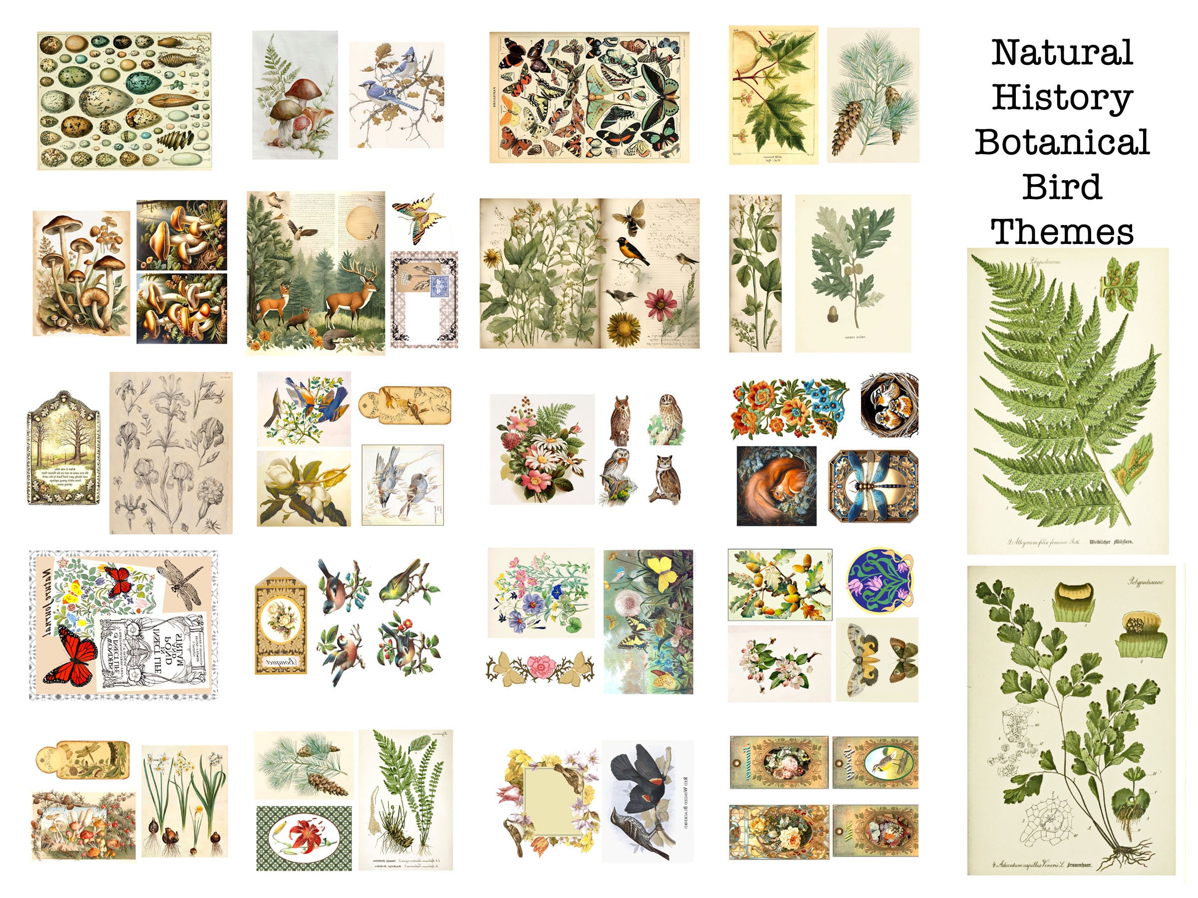 Nature Journal Kit Digital Download - Etsy