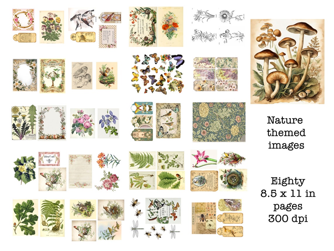 Nature Journal Kit Digital Download - Etsy