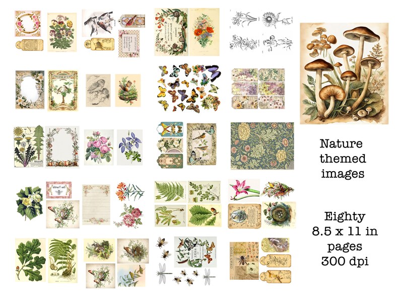 Nature Journal Kit Digital Download - Etsy
