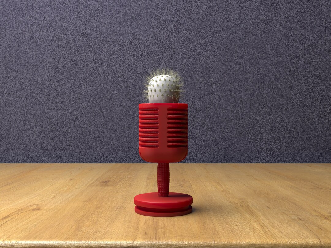 Microphone Flower Pot, Christmas Flower Pot, Christmas Gift - Etsy