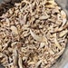 20 Animal Tusks Teeth Long Sharp Tooth Faux Bones Pig Fang - Etsy