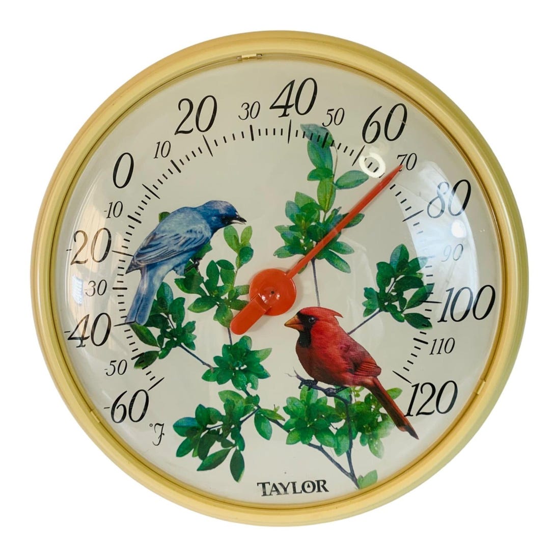 Taylor Cardinal of Peace Blue Bird Thermometer 13" Round Outdoor Porch ...