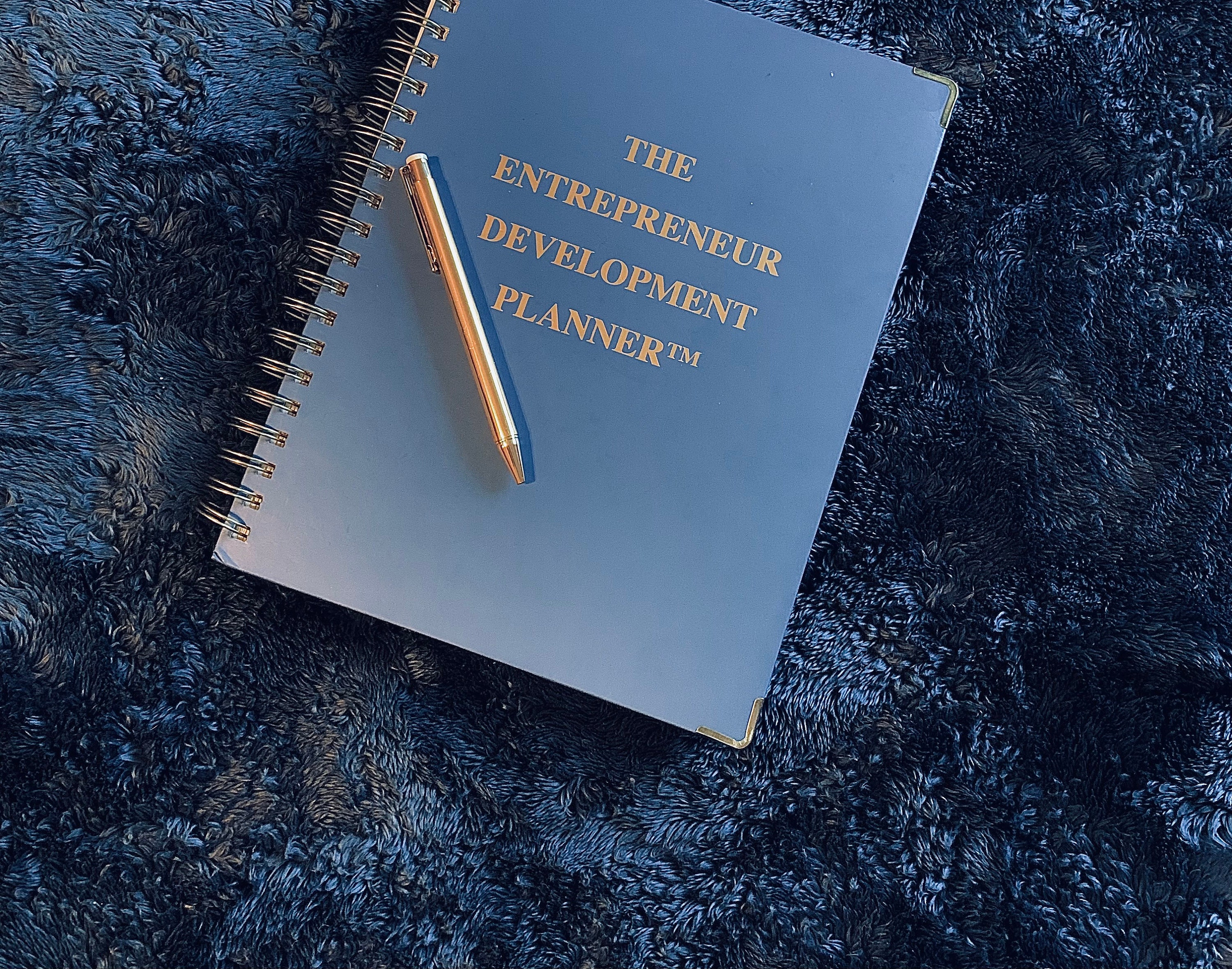 Entrepreneur Planner, Development Planner, Imperfect Planner, Small ...
