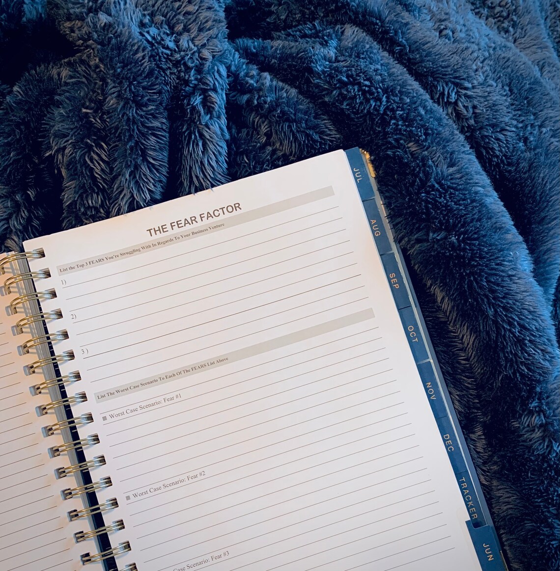 Entrepreneur Planner, Development Planner, Imperfect Planner, Small ...