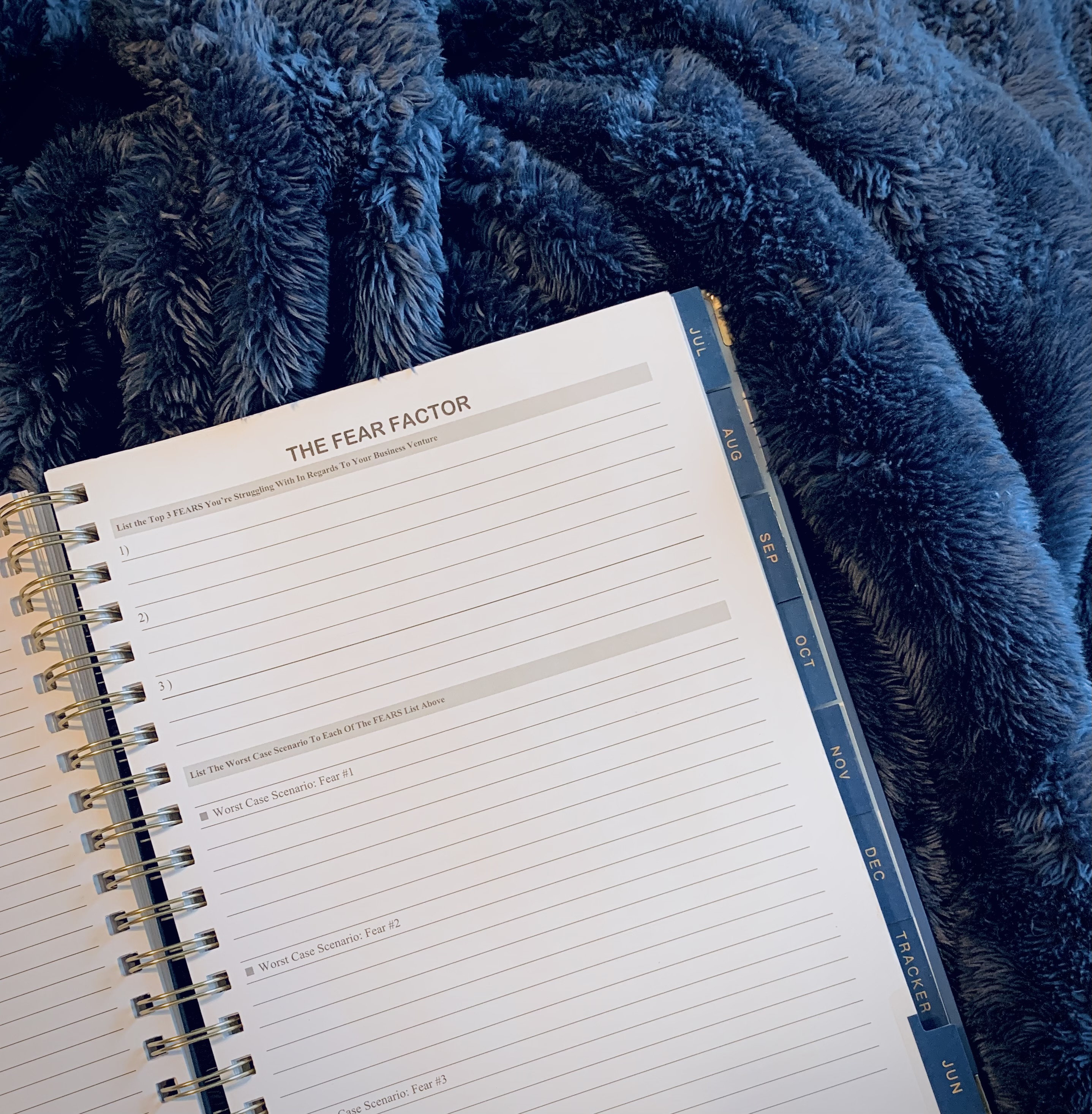 Entrepreneur Planner, Development Planner, Imperfect Planner, Small ...