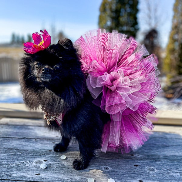 Dog Tutu - Etsy