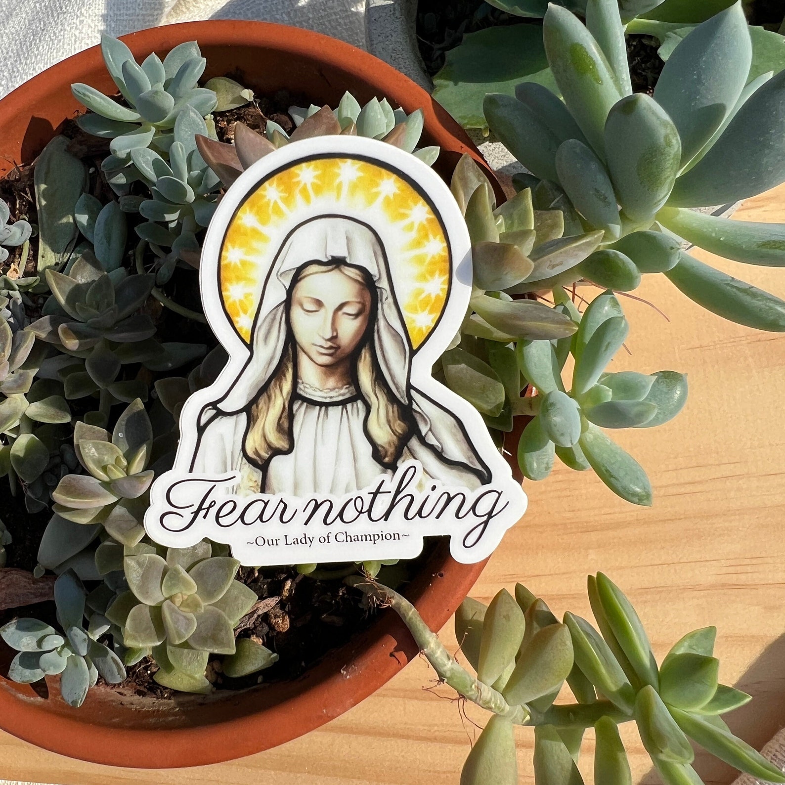 Fear Nothing, Our Lady of Champion, Our Lady of Good Help, Queen of ...