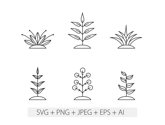 Plants Clip Art Set Plants Bundle Plants Clip Art Collection - Etsy