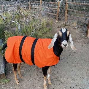 Insulated Goat Coat 24" Topline - Perfect for Pygmies - Etsy