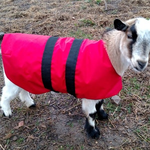 Insulated Goat Coat 24" Topline - Perfect for Pygmies - Etsy