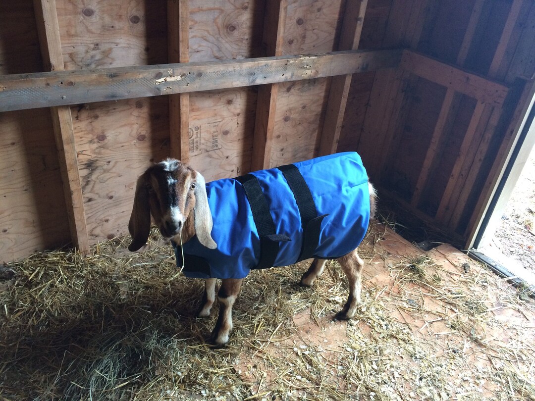 Insulated Goat Coat 26" Topline - Perfect for Dairy Goats - Etsy