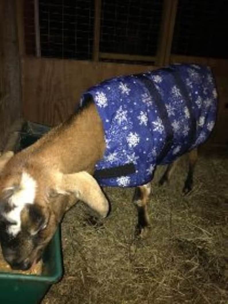 Insulated Goat Coat 24 Topline Perfect for Pygmies - Etsy
