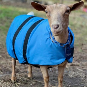Insulated Goat Coat 24" Topline - Perfect for Pygmies - Etsy