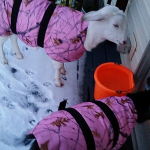 Insulated Goat Coat 24" Topline - Perfect for Pygmies - Etsy
