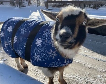 Insulated Goat Coat 18 Topline Perfect for Pygmies - Etsy