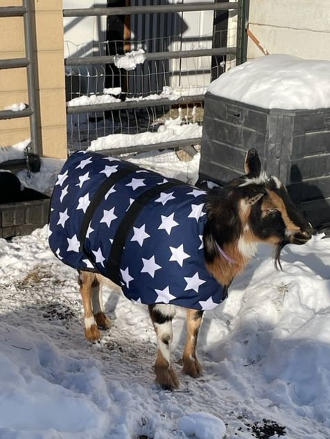 Insulated Goat Coat 24" Topline - Perfect for Pygmies & Nigerian Dwarfs ...