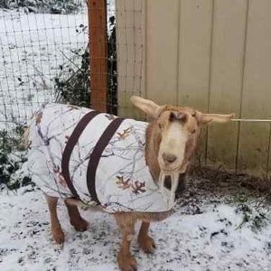 Insulated Goat Coat 24" Topline - Perfect for Pygmies - Etsy