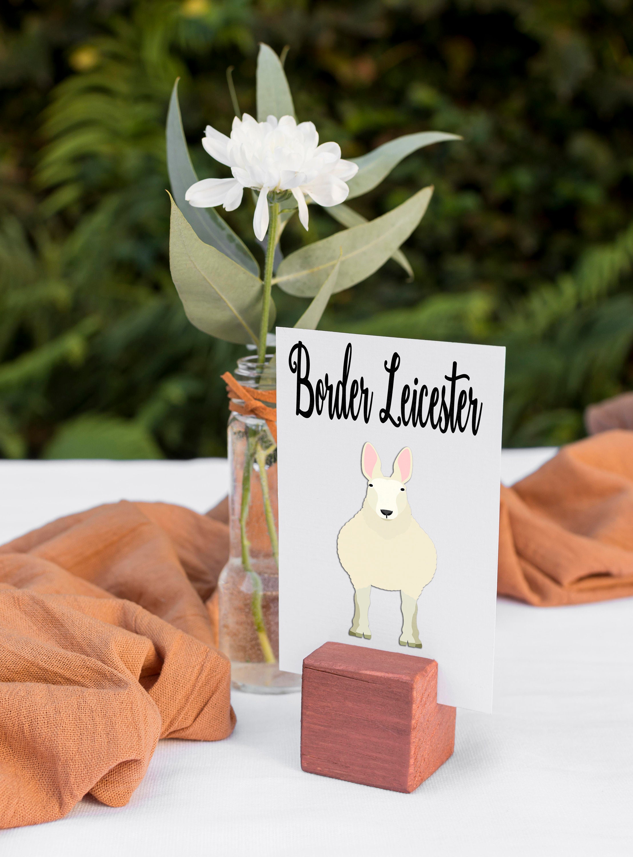 Sheep Table Numbers/sheep Breeds Table Numbers/farm Wedding Table ...