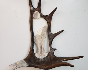 Moose Antler Carving - Etsy