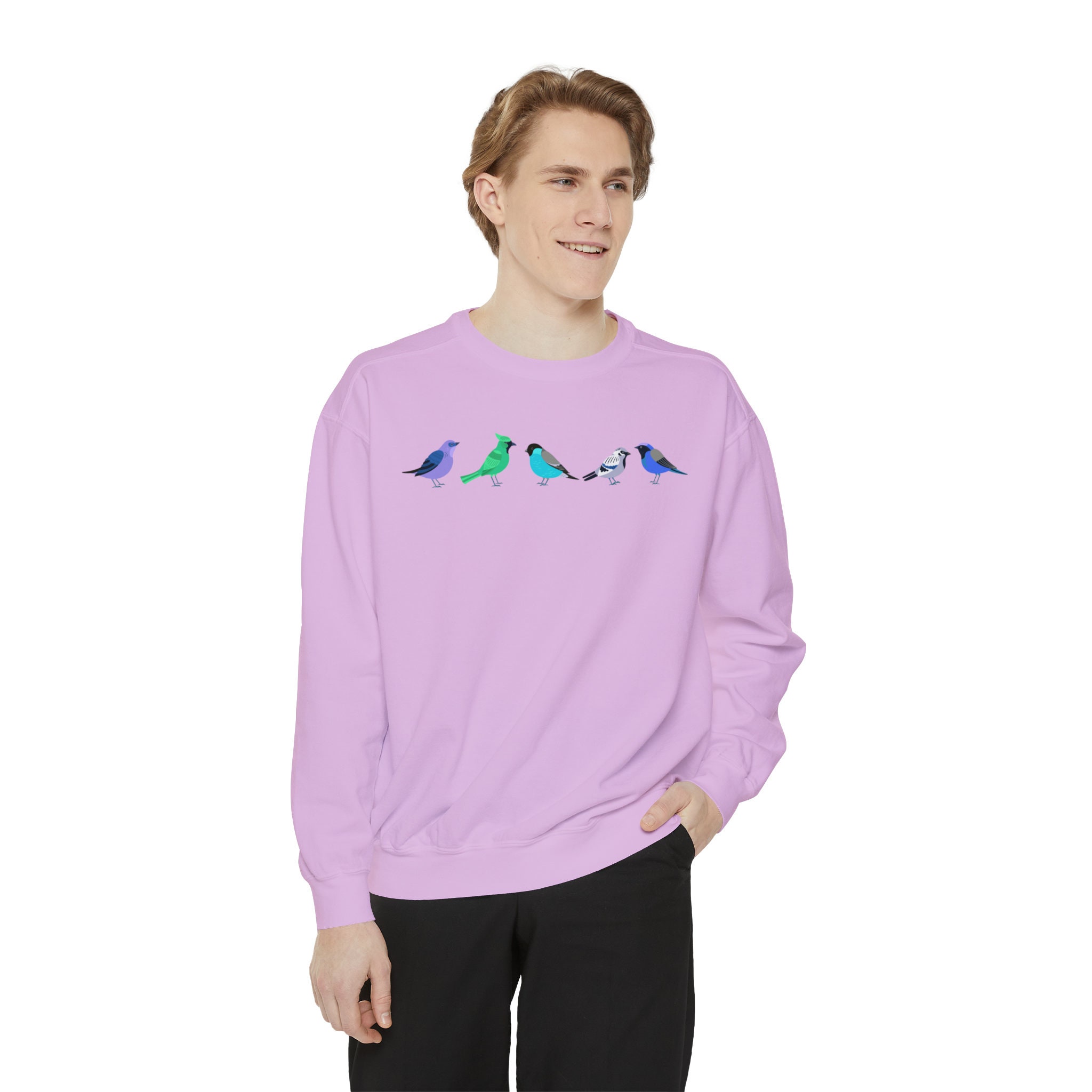 Birds Popular Comfort Colors® 1566 Crewneck Pullover, Bird Sweatshirt ...