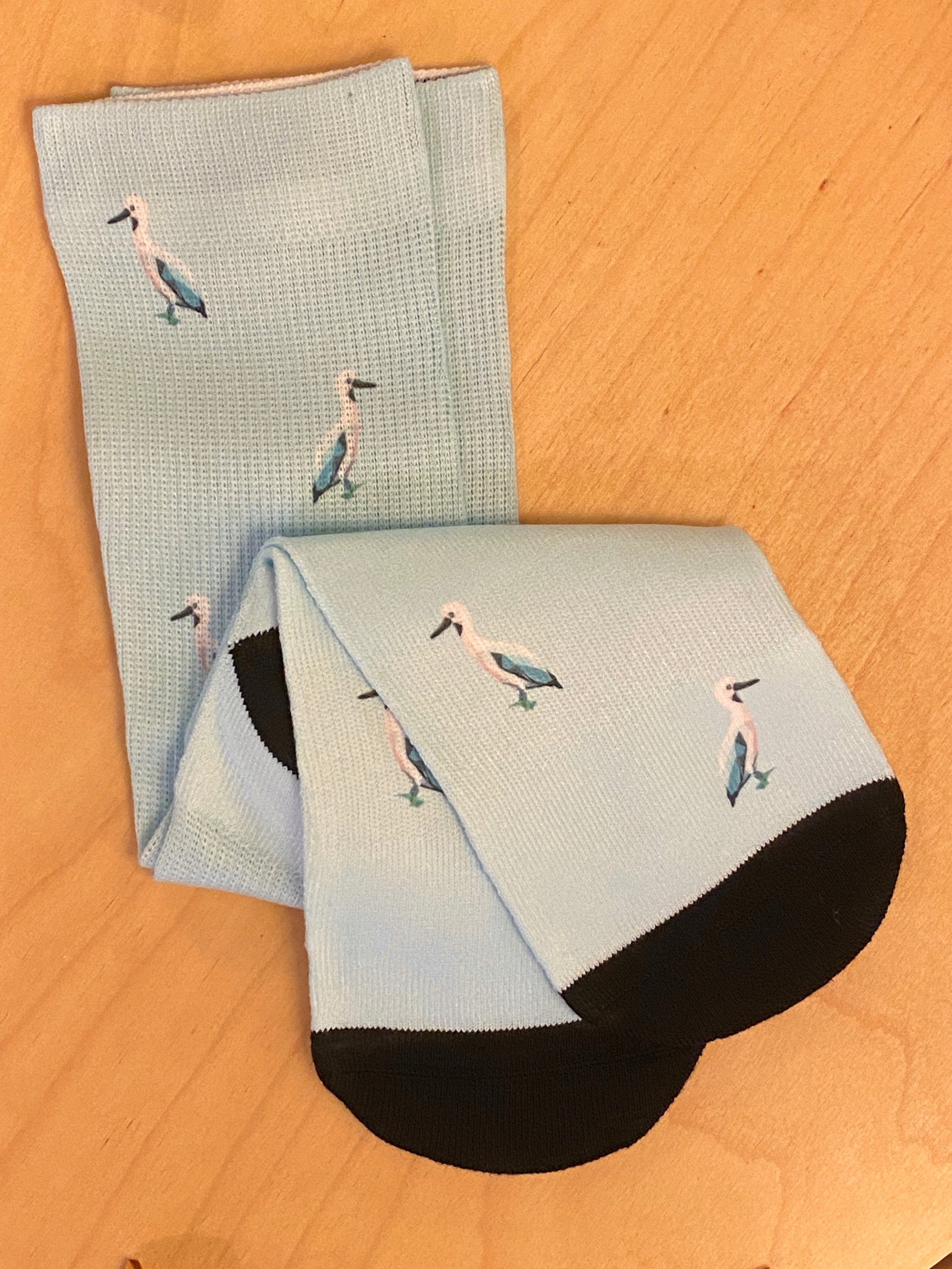 Blue Footed Booby Bird Socks, Galapagos Animal Socks for Birders ...