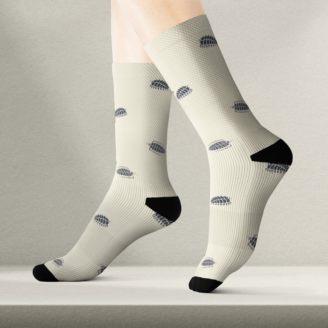 Trilobite Fossil Socks - Fossil Icon Pattern Socks, Ocean Fossil Themed ...