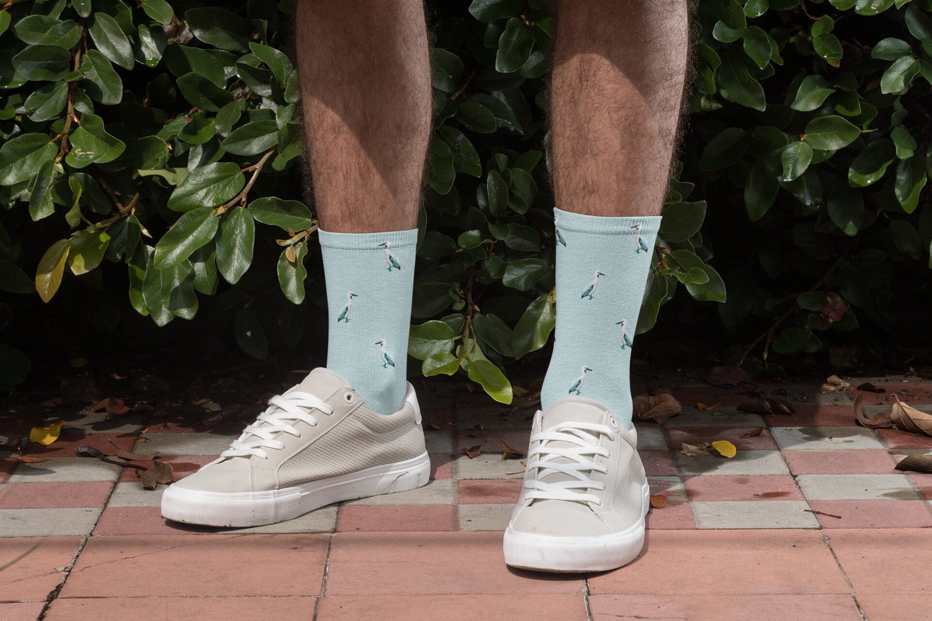 Blue Footed Booby Bird Socks, Galapagos Animal Socks for Birders ...