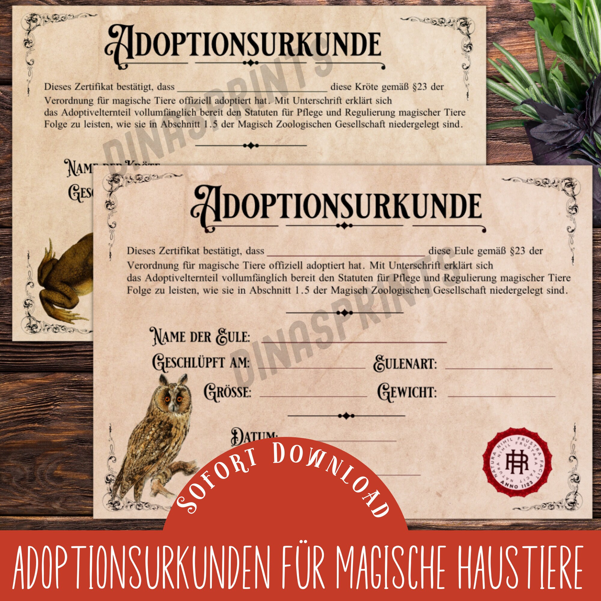 Witch Certificate for Magical Pets / Adoption Certificate Owl - Etsy