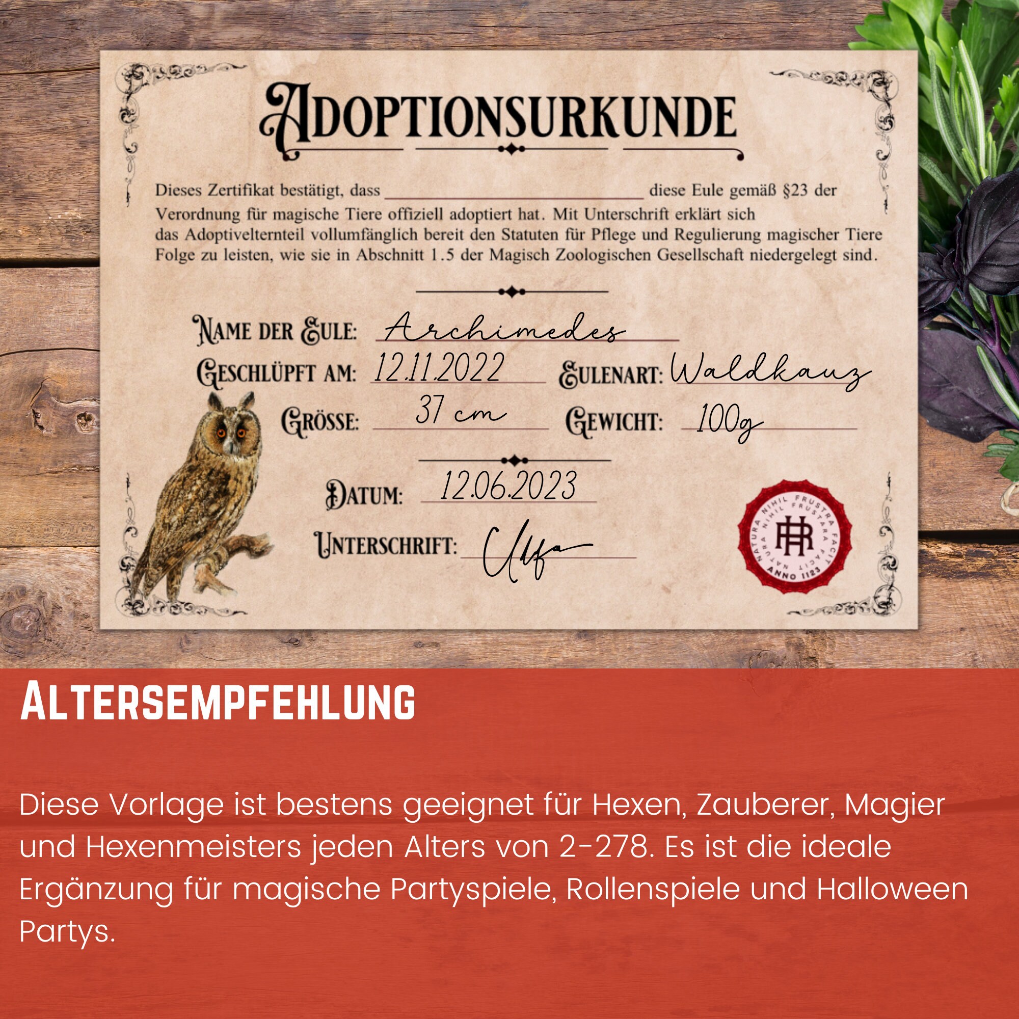 Witch Certificate for Magical Pets / Adoption Certificate Owl - Etsy