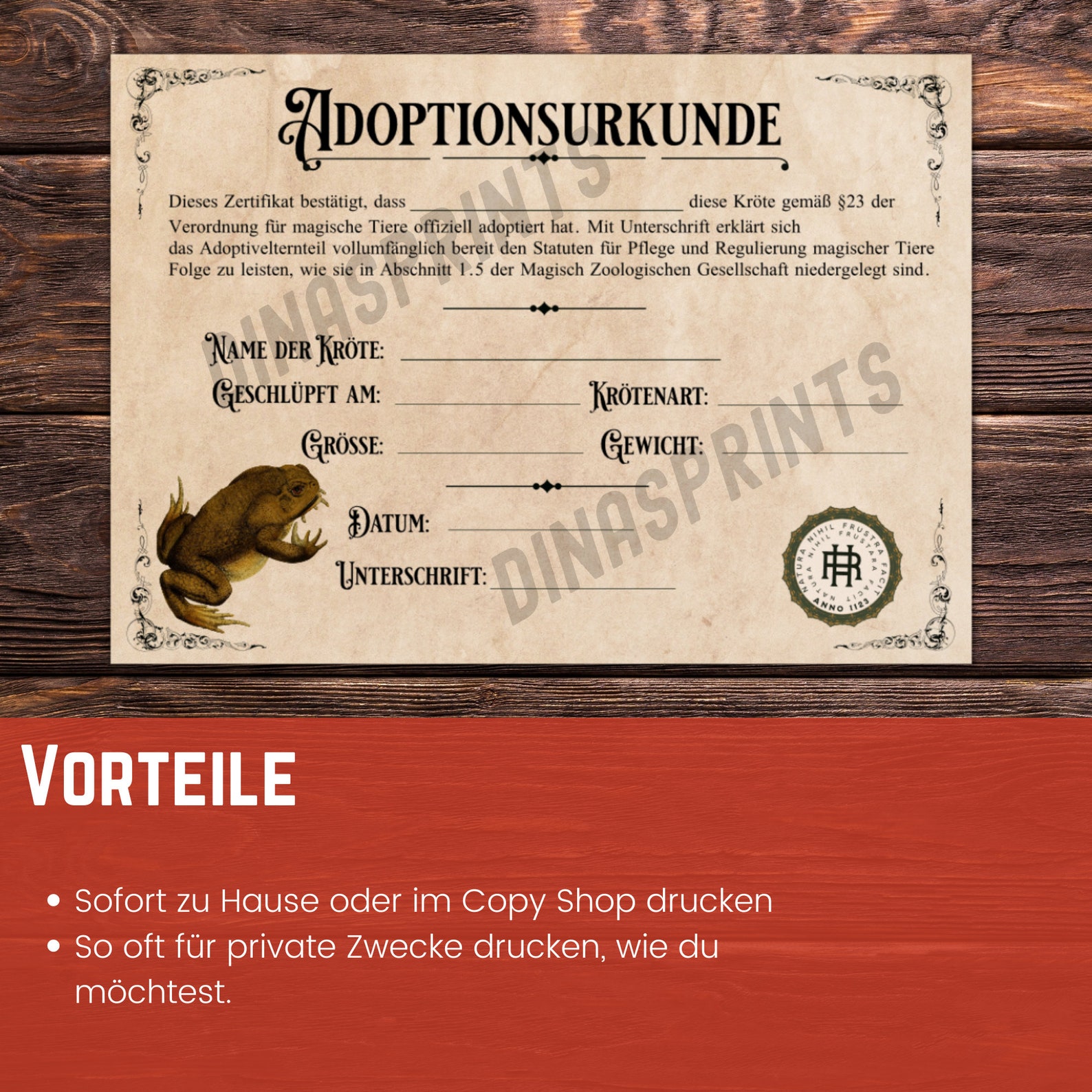 Witch Certificate for Magical Pets / Adoption Certificate Owl - Etsy