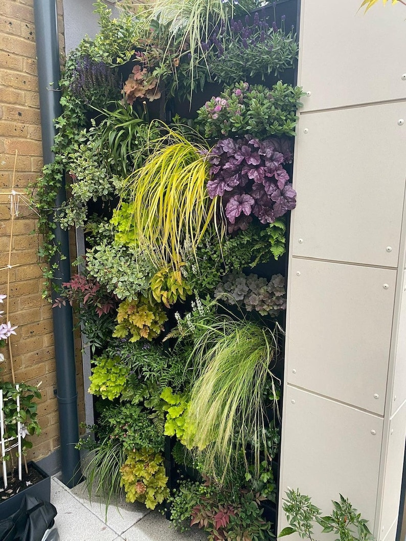 Plant Walls Real Indoor Living Wall Green Wall Plants Included 100% ...