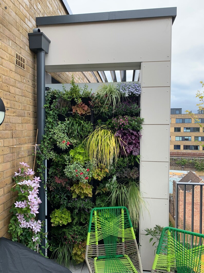 Plant Walls Real Indoor Living Wall Green Wall Plants Included 100% ...