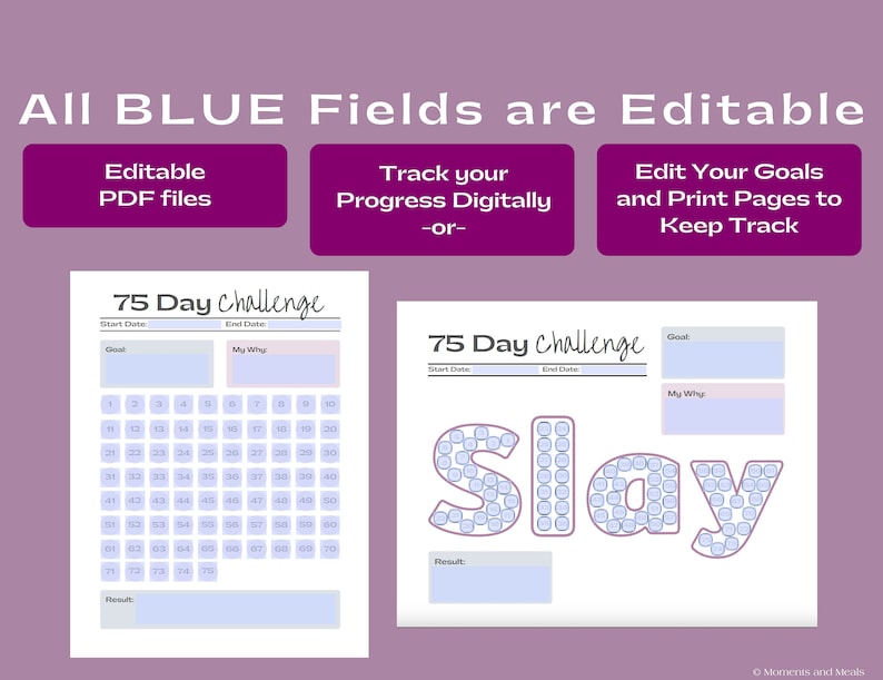 EDITABLE 75 Day Challenge Tracker, 75 Soft Printable PDF, 75 Medium ...