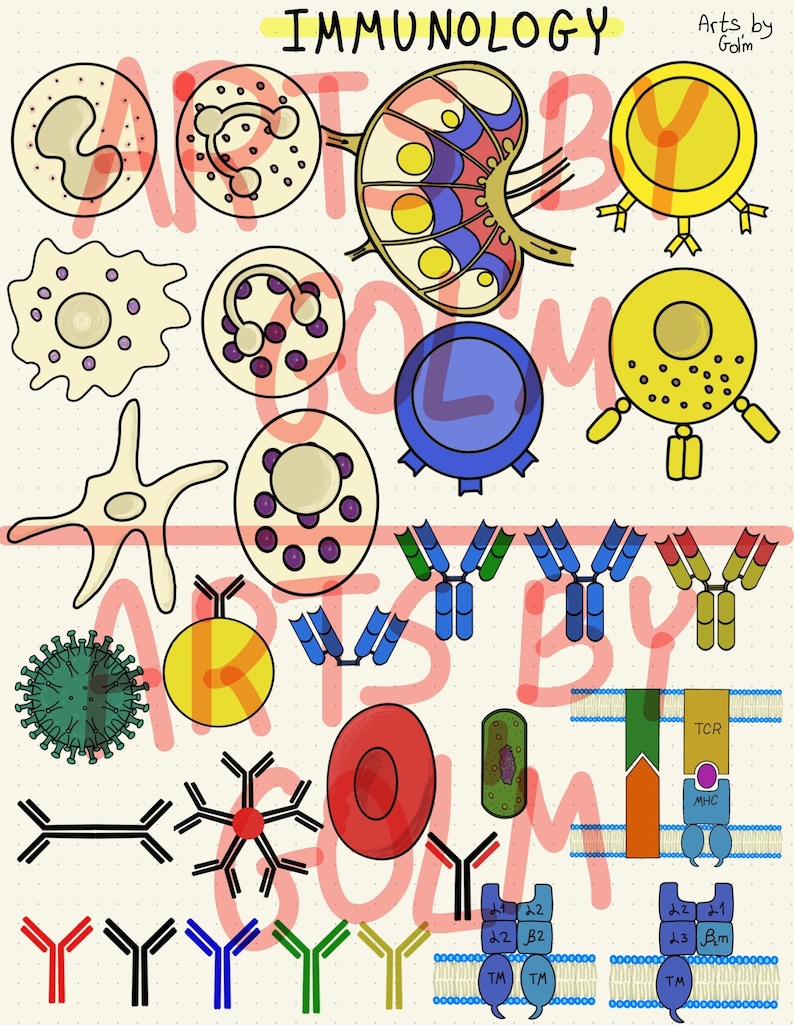 Artsbygol'm- Immunology & Virology Stickers- Precropped Png's ...