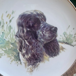 Vintage English Cocker Spaniel Decorative Plate Wall Art or - Etsy
