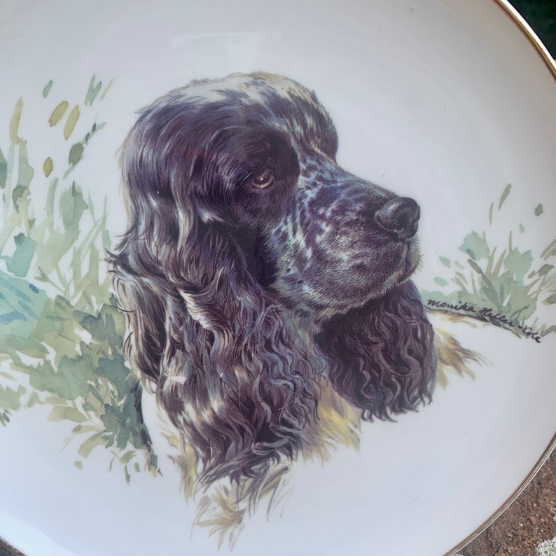 Vintage English Cocker Spaniel Decorative Plate Wall Art or - Etsy