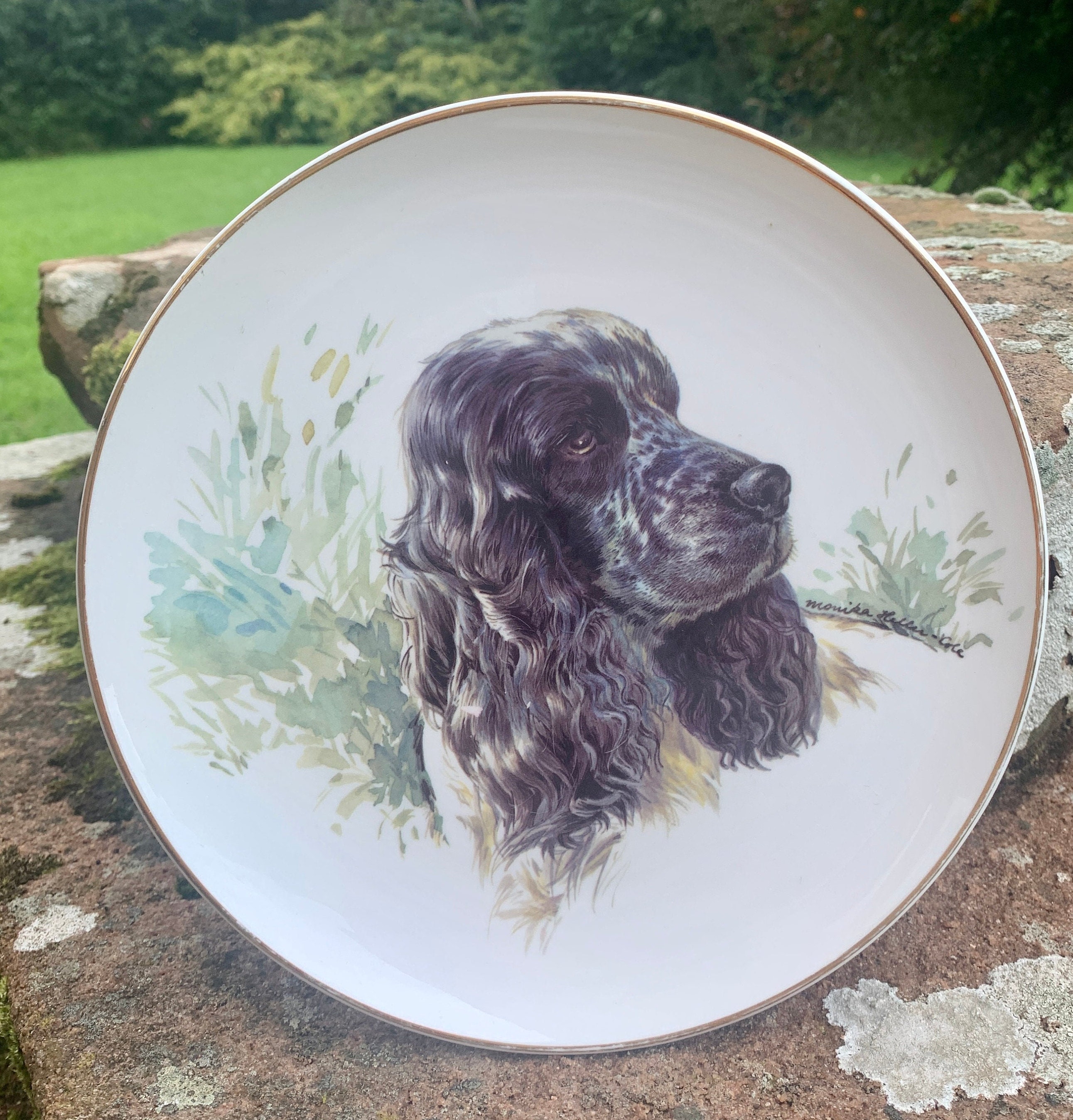 Vintage English Cocker Spaniel Decorative Plate Wall Art or - Etsy