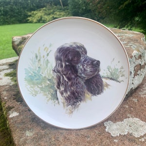 Vintage English Cocker Spaniel Decorative Plate Wall Art or - Etsy